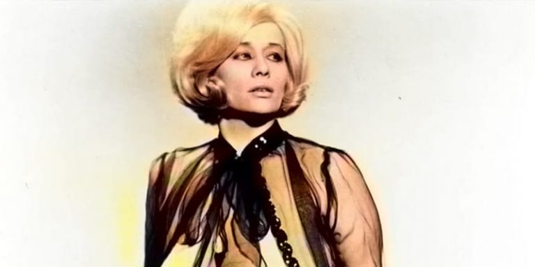 Who is exotic dancer Chesty Morgan? Wiki: Net Worth, Marriage, Affair