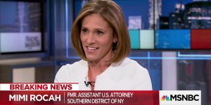 Mimi Rocah Wiki Bio, age, height, salary, husband, family. Is she ...