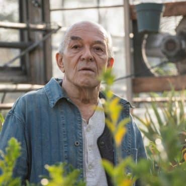 The Life and Career of Mark Margolis: Scarface, Age, Net Worth ...